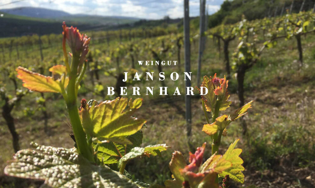 Weingut Janson Bernhard